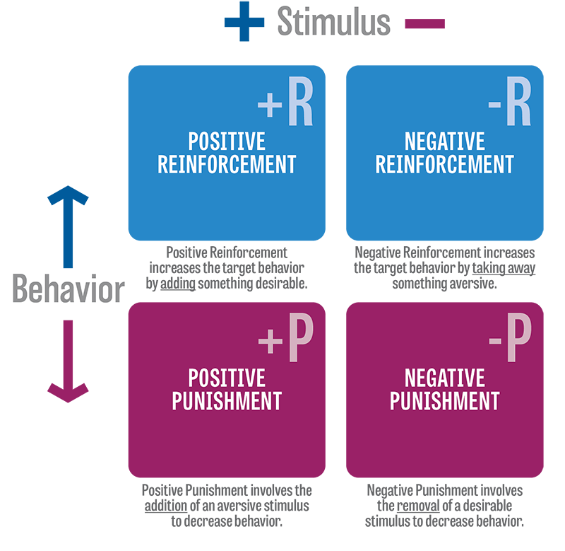 Reinforcement and Punishment
