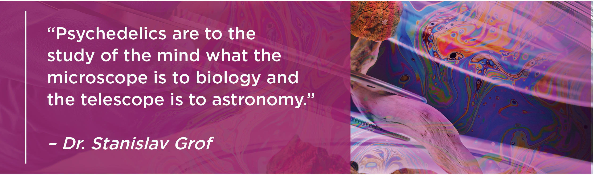 A Guide to Psychedelic Therapy